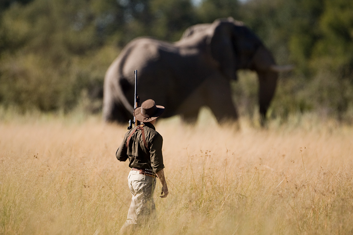 Collaborative Wildlife Conservation - Safari Club